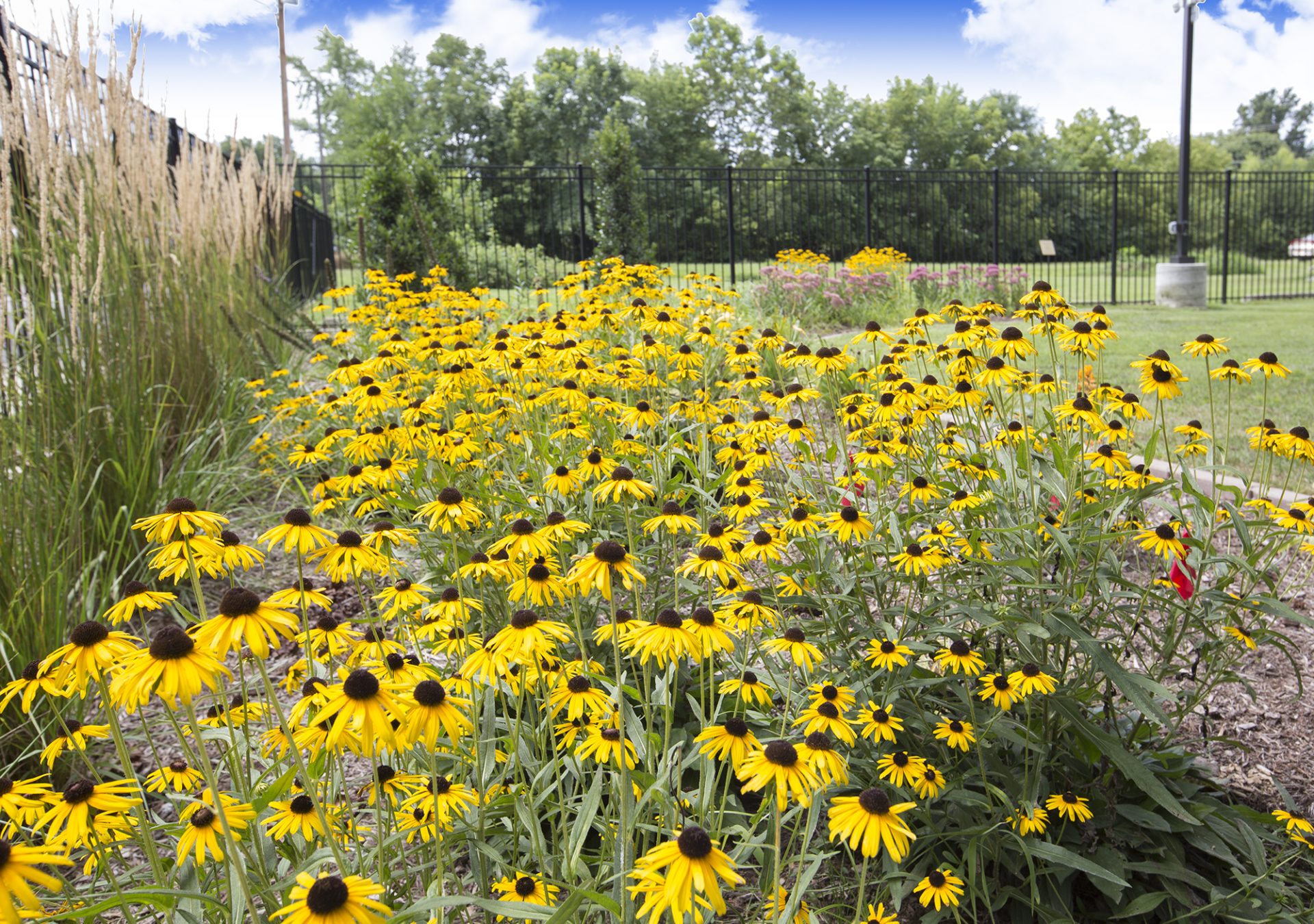 Benton Library Reading Garden – Baysinger Architects, LLC.